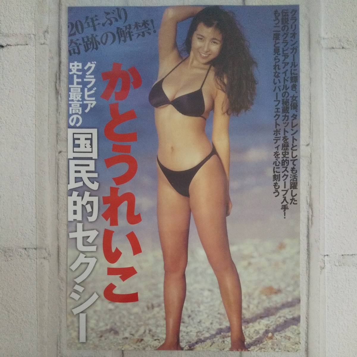 【やや傷や汚れあり】『雑誌グラビア ラミネート加工』O-264『かとうれいこ 国民的セクシー』 FLASH 2015年8月4日号 A4 4枚7ページ ※15の落札情報詳細 - ヤフオク落札価格 ...