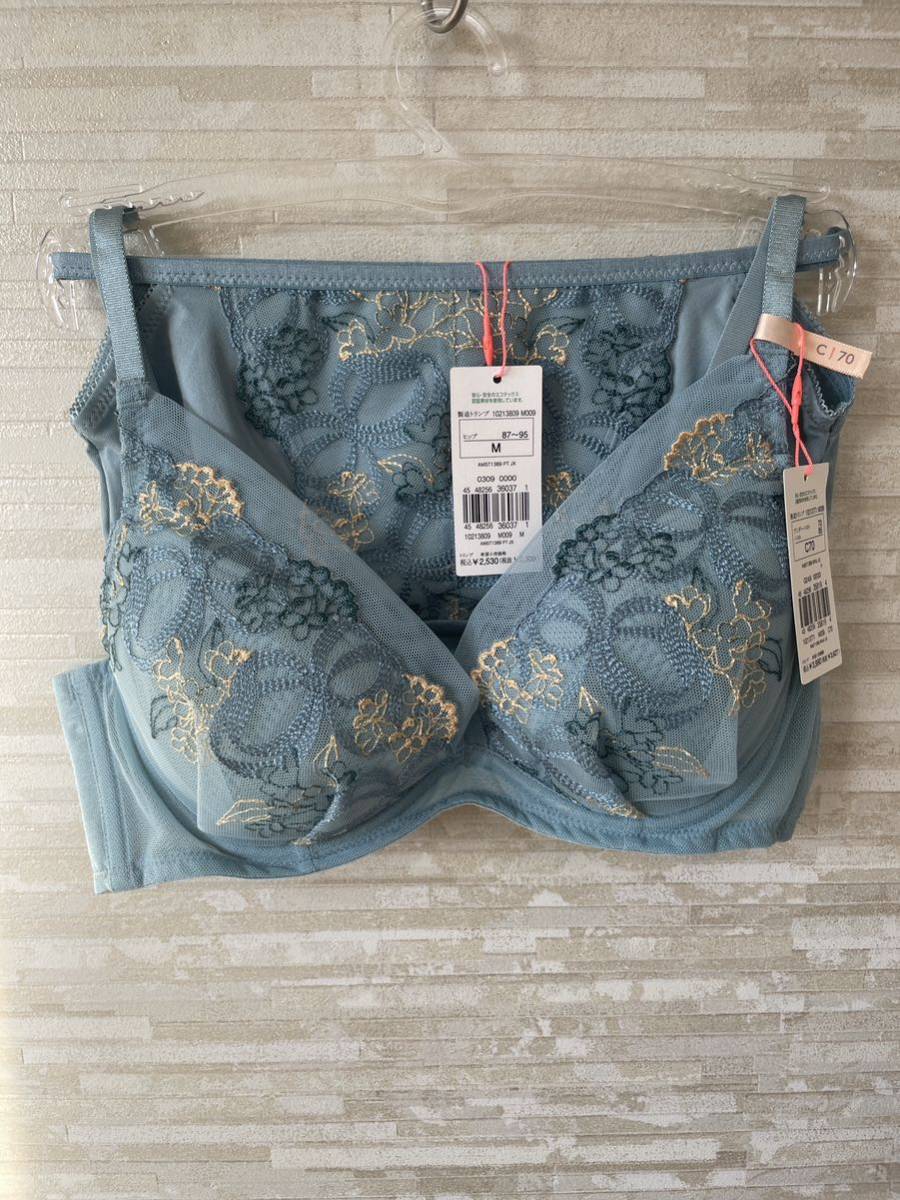 【未使用】C70&M」トリンプ チャーミングラマー スリムラインDeepV ブラ&ショーツの落札情報詳細 - ヤフオク落札価格検索 オークフリー