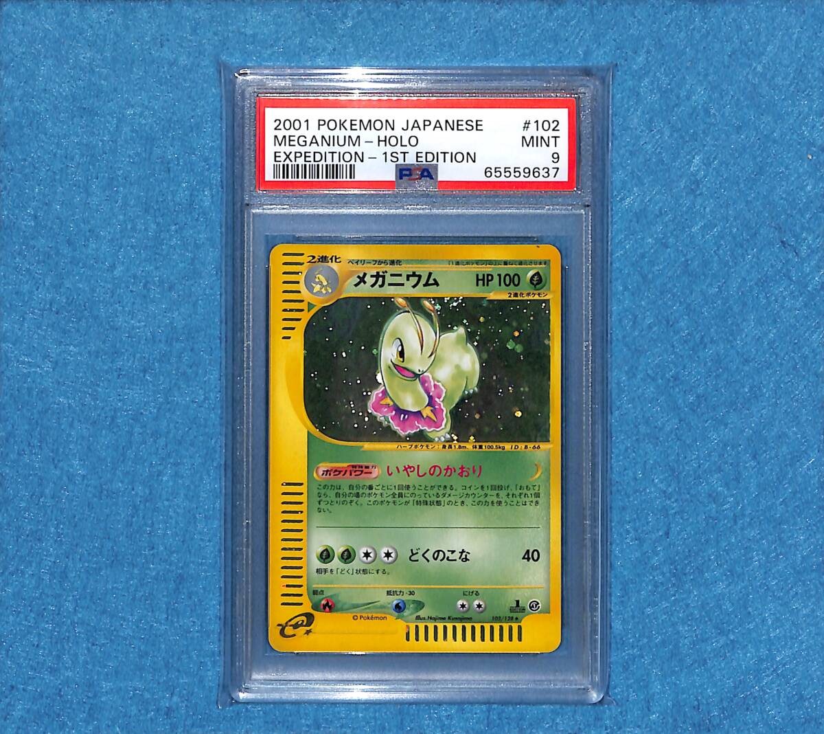 【未使用】PSA 9 鑑定 ポケモンカード メガニウム 102/128 ポケモンカードe 第1弾 基本拡張パック カードe 1edの落札情報詳細 - Yahoo!オークション落札価格検索 オークフリー