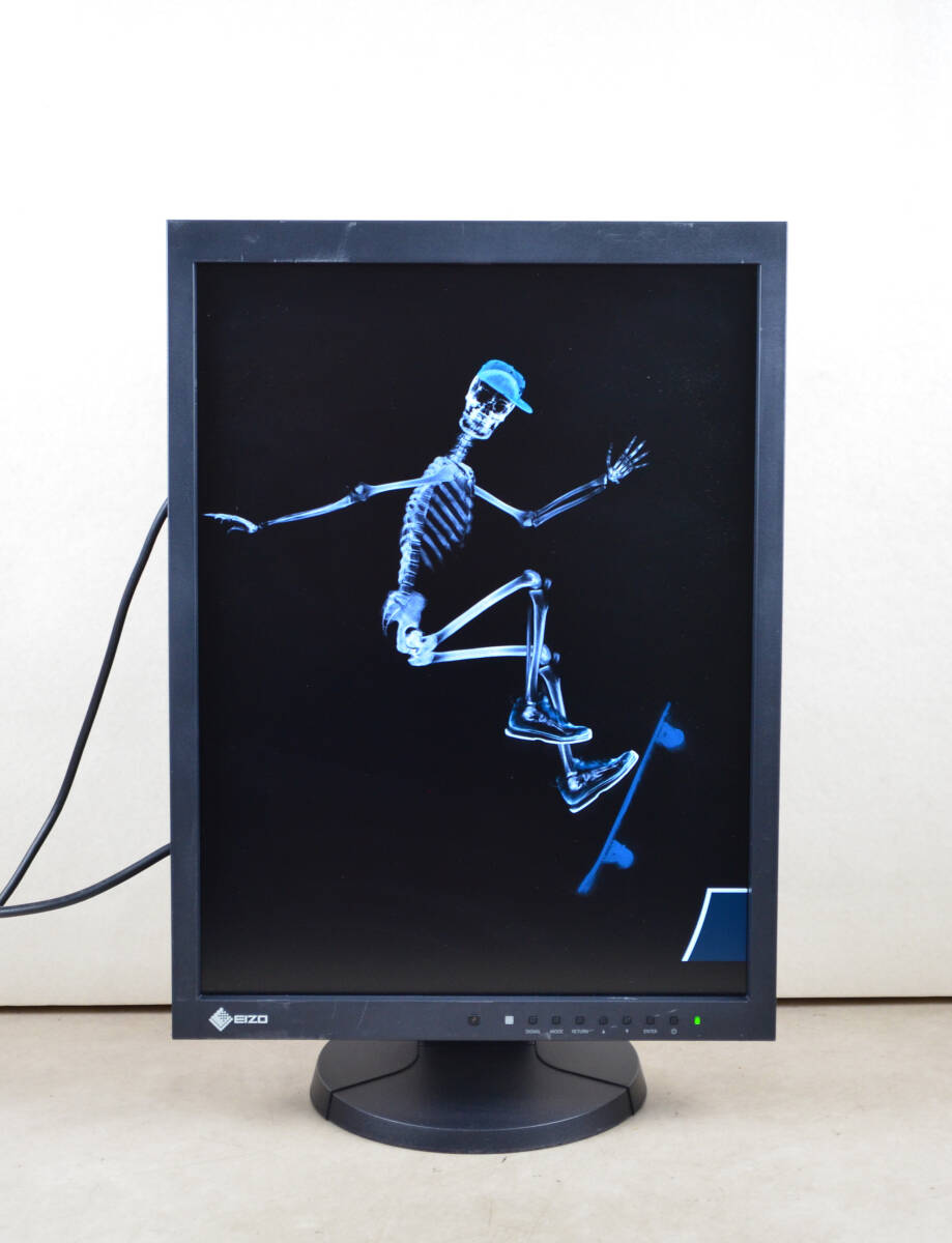 【目立った傷や汚れなし】医療用液晶モニター EIZO RadiForce RX240 21.3型 解像度1200 x 1600 電子カルテ画像 ...