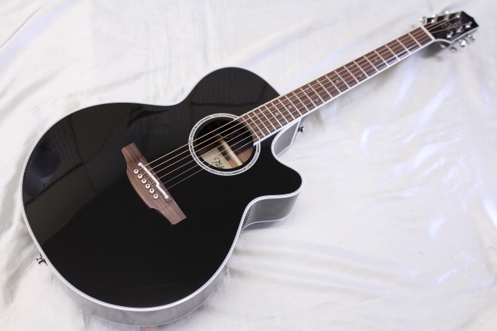 【未使用】新品 Takamine(タカミネ) / TDP161C BL 100シリーズ エレアコ【ハードケース付き】※北海道、沖縄・離島を除き送料無料。の落札情報詳細 - Yahoo ...