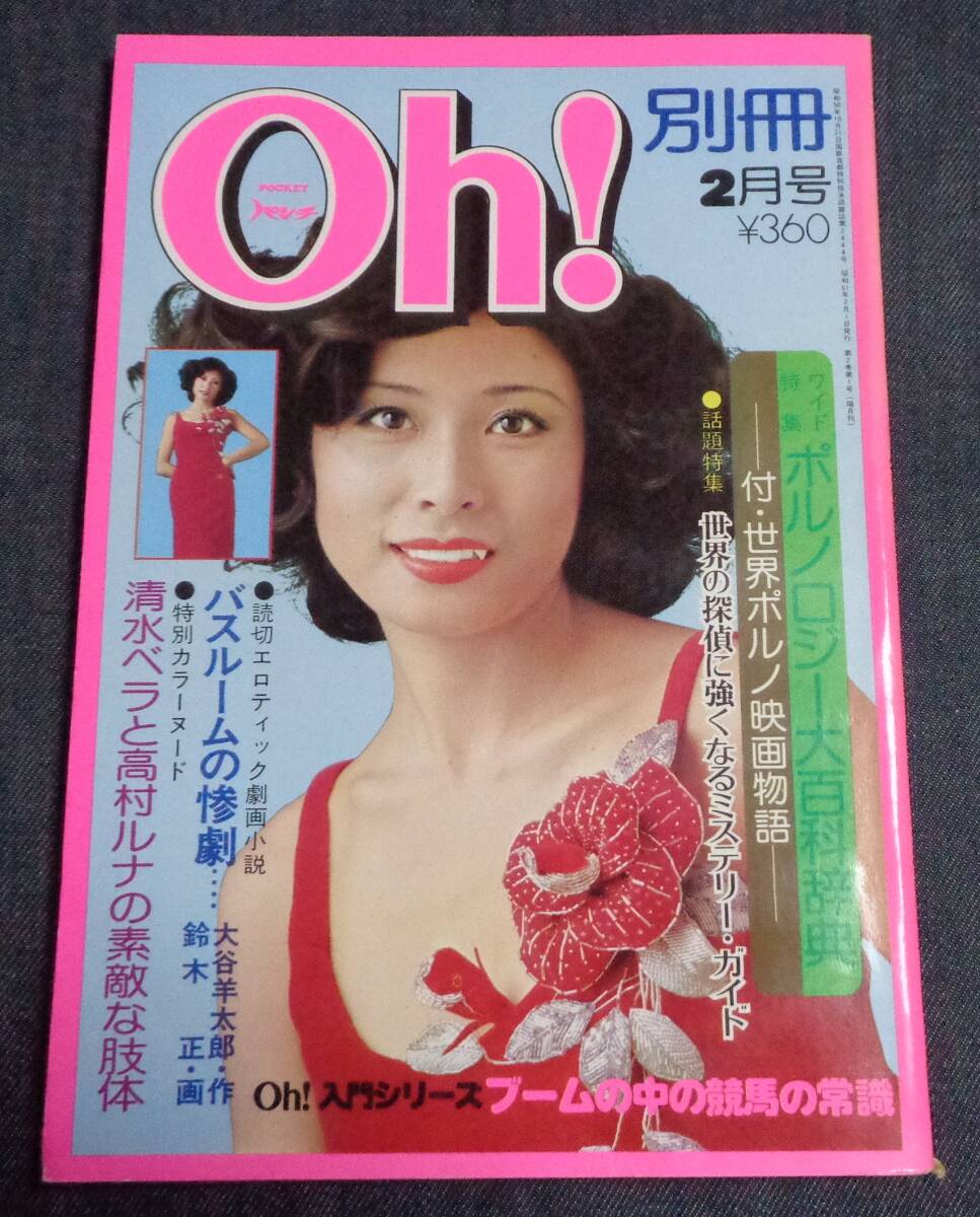 【傷や汚れあり】★別冊POCKETパンチOh！ 1976年2月号 表紙:小柳ルミ子 ★由美かおる/清水ベラ ピンナップ付 高村ルナ/麗花/田口久美/れいらん 他の落札情報詳細 - Yahoo ...