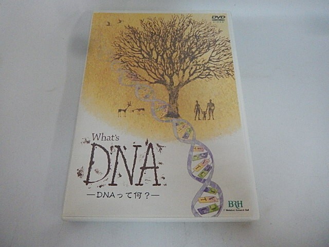 【傷や汚れあり】G【NK40-43】【送料無料】DNAって何？/DVD/科学/遺伝子/JT生命誌研究館※ケース汚れ有、ディスクキズ有の落札情報詳細 - Yahoo!オークション落札価格検索 ...