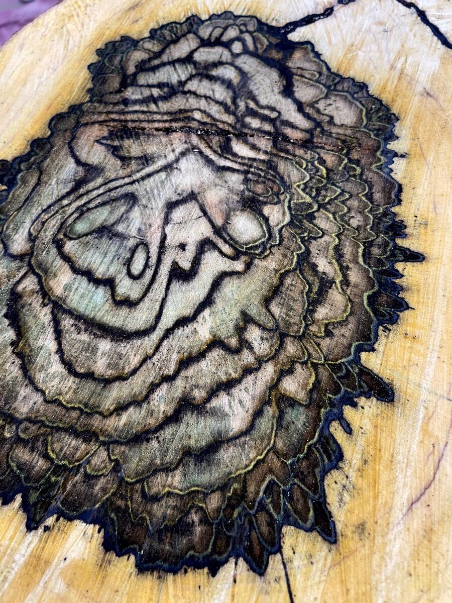 【未使用】『Z0821』超極厚 神美杢 黒柿 ペンブランク(寸法 縦370㎜幅280㎜厚130㎜) ハンドメイド素材 希少材 銘木 未乾燥材の落札情報詳細 - Yahoo!オークション落札価格 ...