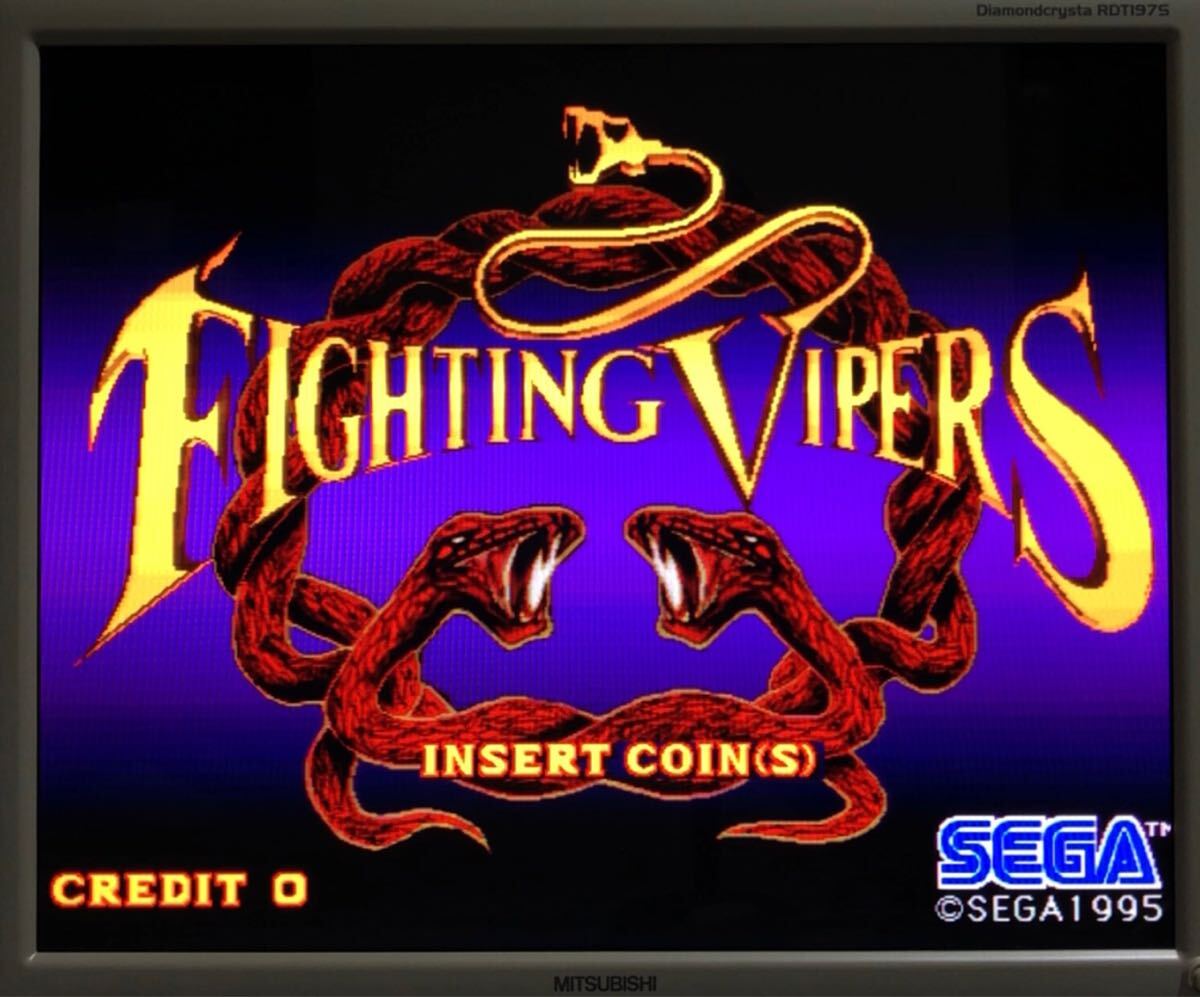 【傷や汚れあり】ファイティングバイパーズ FIGHTING VIPERS [SEGA／MODEL2B]の落札情報詳細 - Yahoo ...