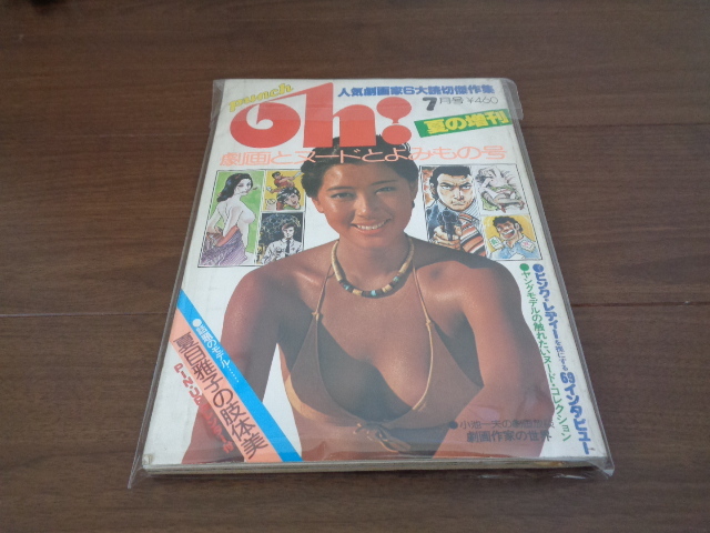 【傷や汚れあり】希少 punch oh！ 1977年(昭和52) 7月号 臨時増刊 劇画とヌードよよみもの号 夏目雅子平凡出版の落札情報詳細 - Yahoo!オークション落札価格検索 オークフリー