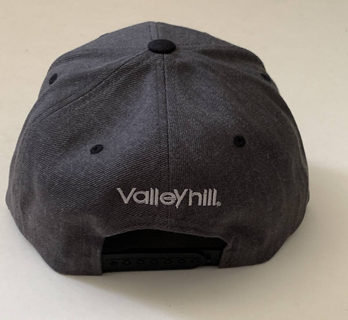 【未使用】(T6) バレーヒル【Valleyhill SQUID Seeker 15THアニバーサリー キャップ】の落札情報詳細 - Yahoo!オークション落札価格検索 オークフリー