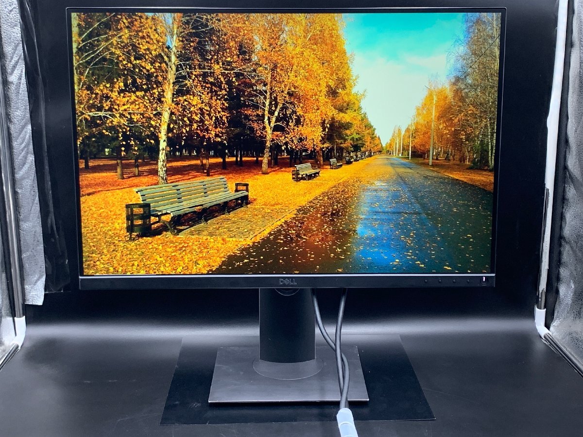 【目立った傷や汚れなし】訳あり Dell P2421 24インチワイドモニタ－(WUXGA/16:10/IPS/HDMI,DP,VGA,DVI ...