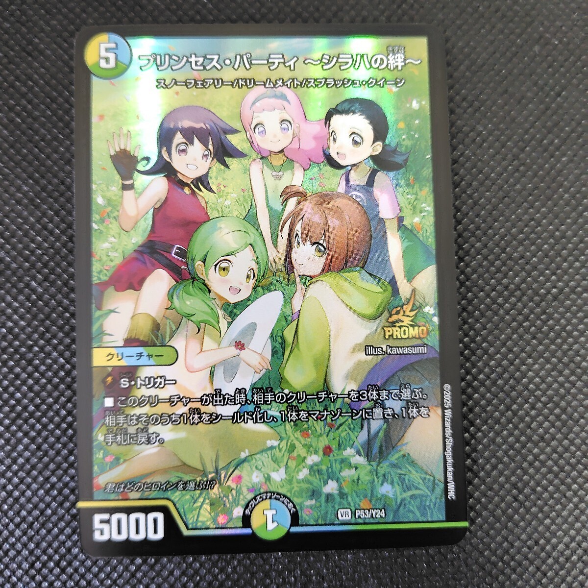 【未使用】★2025年★最新プロモ★VR★プリンセス・パーティ〜シハラの絆〜★P53/Y24★①の落札情報詳細 - Yahoo!オークション落札価格検索 オークフリー