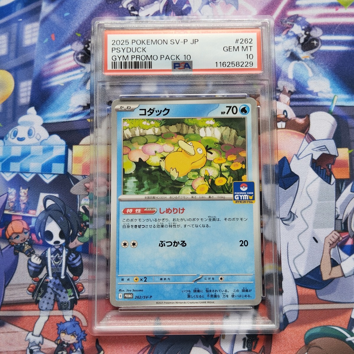 【未使用】PSA10 ポケモンカード コダック PSYDUCK 262/sv-p プロモ PROMO Pokemon 2025 GYM ...