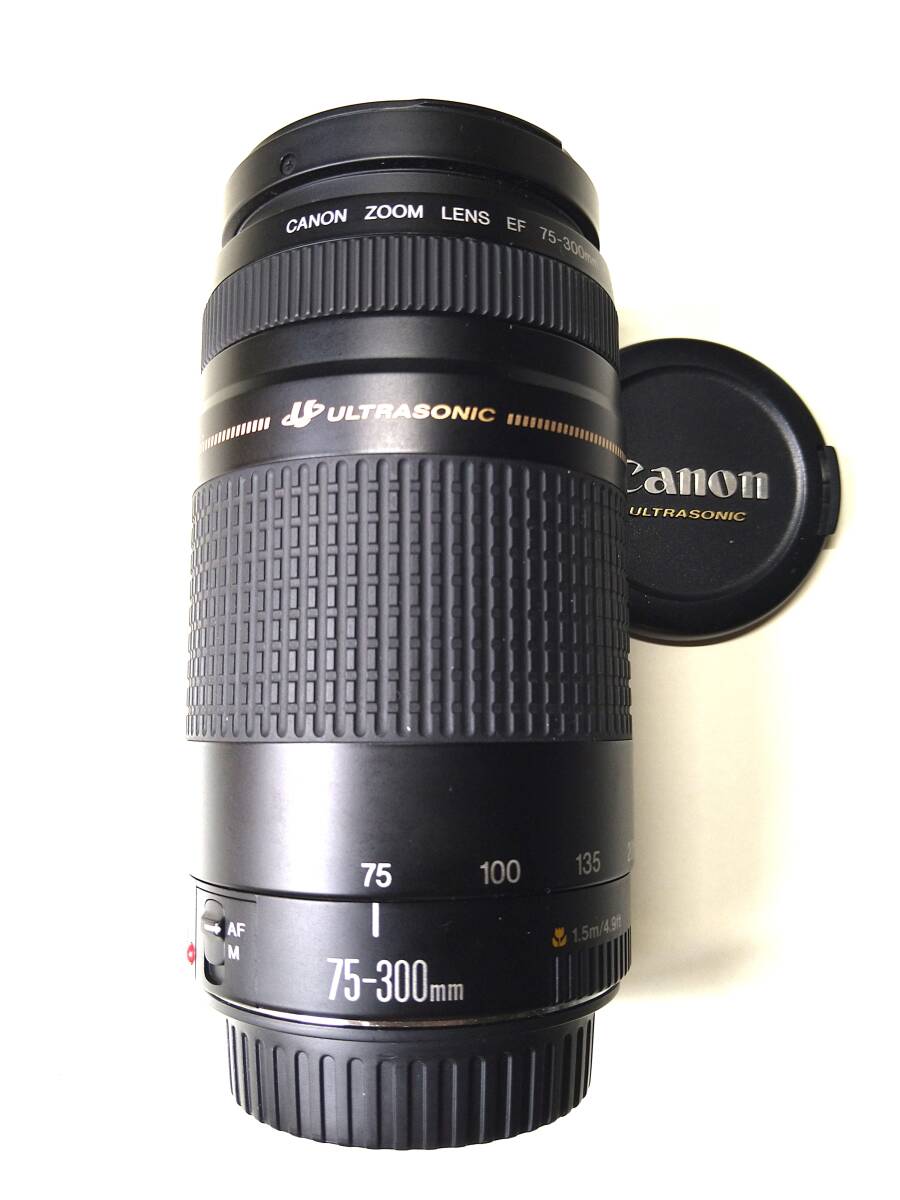 【やや傷や汚れあり】Canon EF75-300mm 1:4-5.6Ⅱの落札情報詳細 - Yahoo!オークション落札価格検索 オークフリー