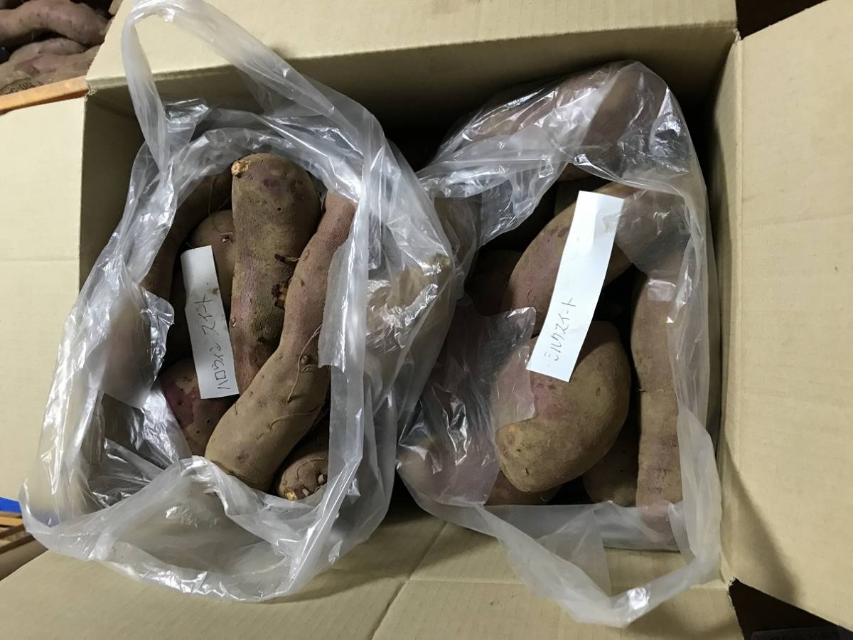 【やや傷や汚れあり】送料込 16Kg 紅はるか シルクスイート ハロウィンスイート M～2Lサイズ 家庭用 有機肥料 減農薬栽培 さつまいも 薩摩芋 甘藷 A163の落札情報詳細 ...
