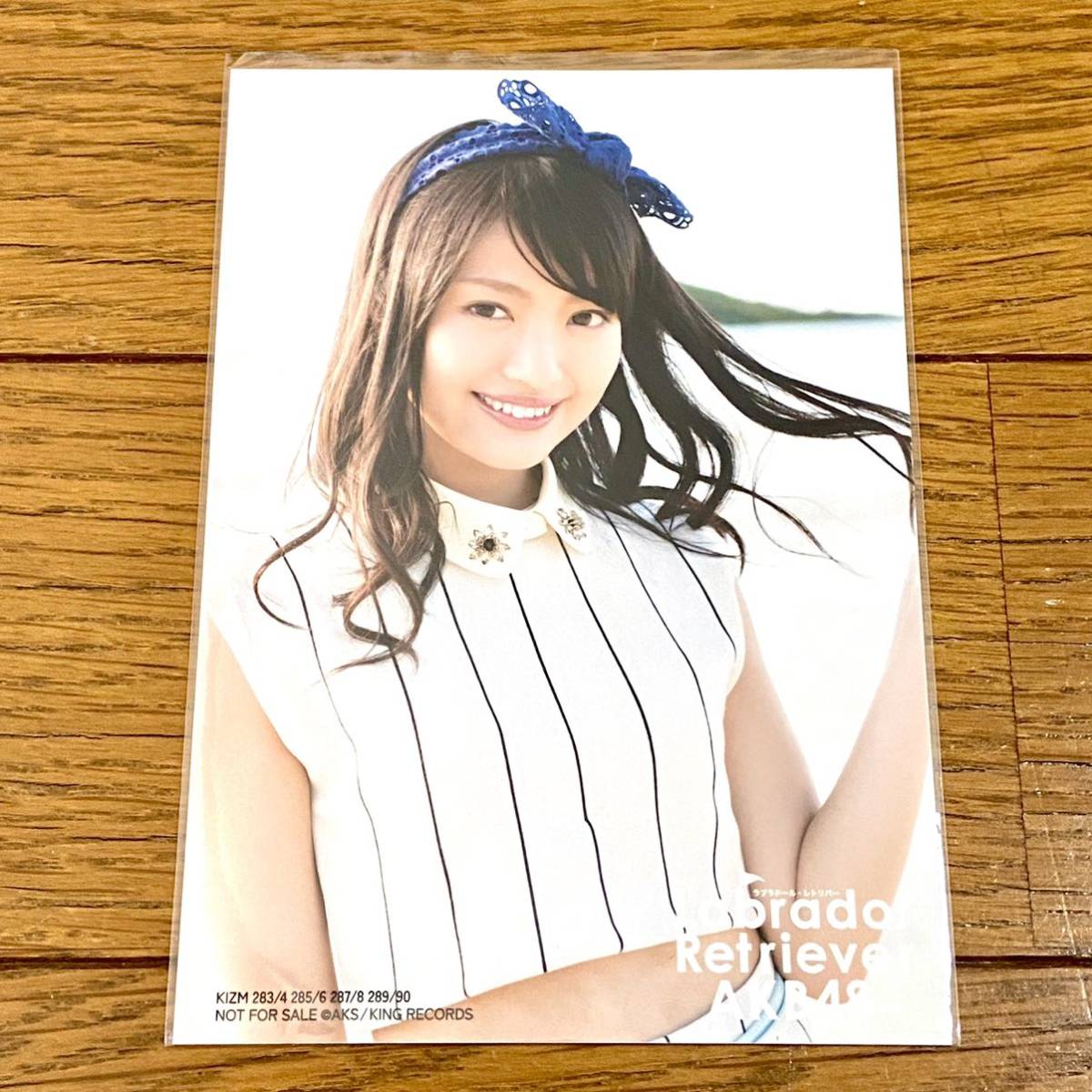 【目立った傷や汚れなし】★1円〜★akb48 生写真 北原里英★ラブラドールレトリバー 通常盤 封入特典★labrador Retriever