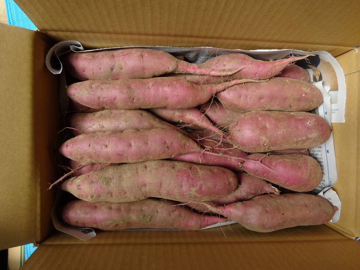 【未使用】 2022年新物採れたて 紅はるか 小さめサイズ（M～3S）5kg 100円スタート 土付き発送 農家直送便 茨城発の落札情報詳細 - ヤフオク落札価格検索 オークフリー