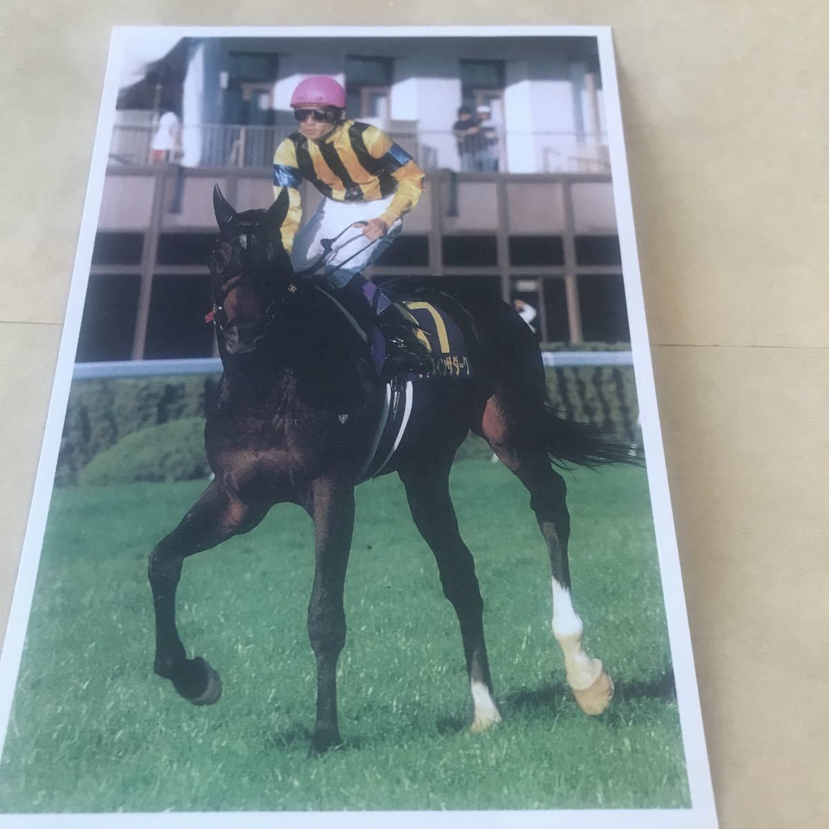 【未使用】武豊、ダンスインザダーク【菊花賞 武豊】ポストカード 新品BKHYの落札情報詳細 - ヤフオク落札価格検索 オークフリー