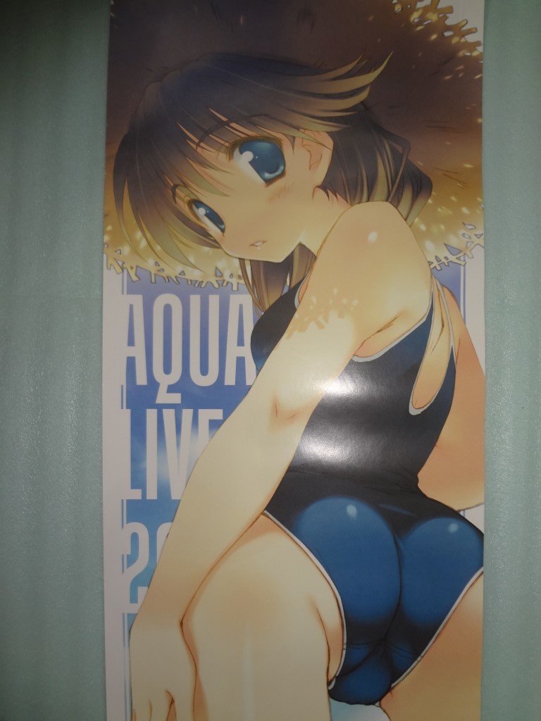 【やや傷や汚れあり】スティックポスター ToHeart2 小牧郁乃 AQUAPLUS LIVE 2008の落札情報詳細 - ヤフオク落札価格検索 オークフリー