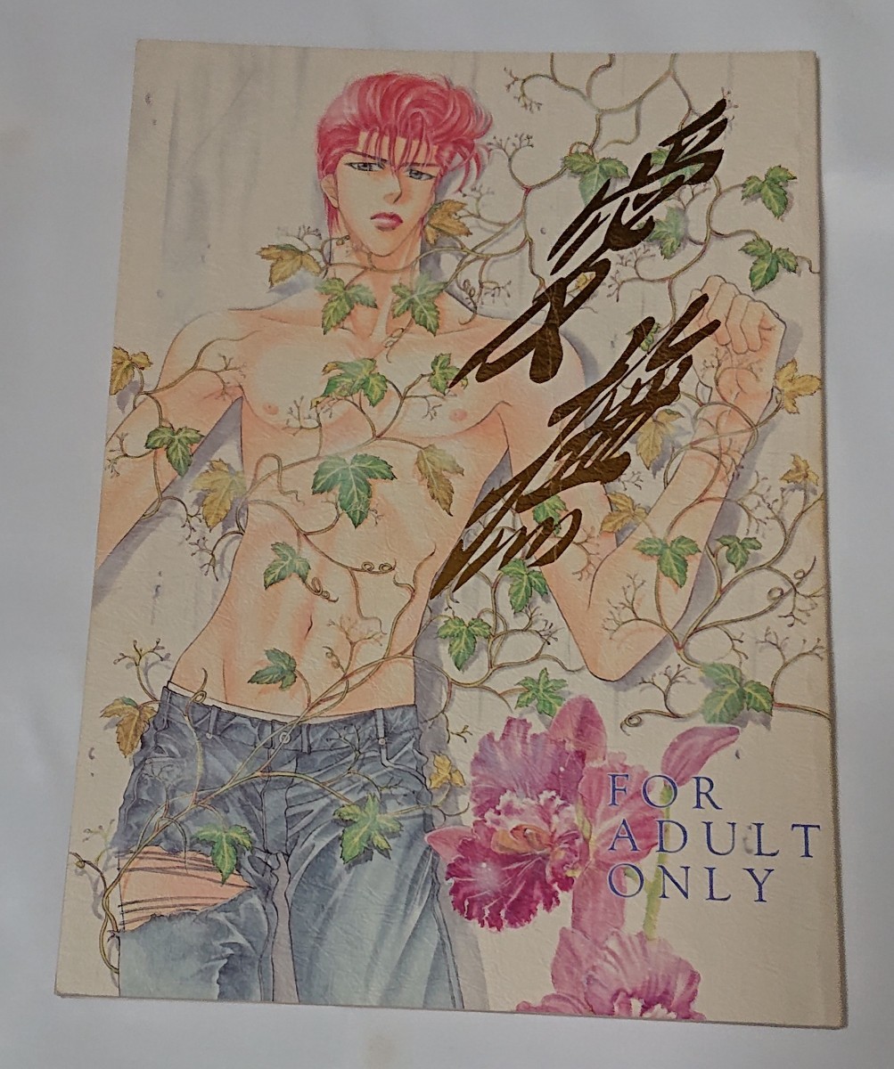 【傷や汚れあり】やまねあやの スラムダンク同人誌 愛撫の落札情報詳細 ヤフオク落札価格検索 オークフリー