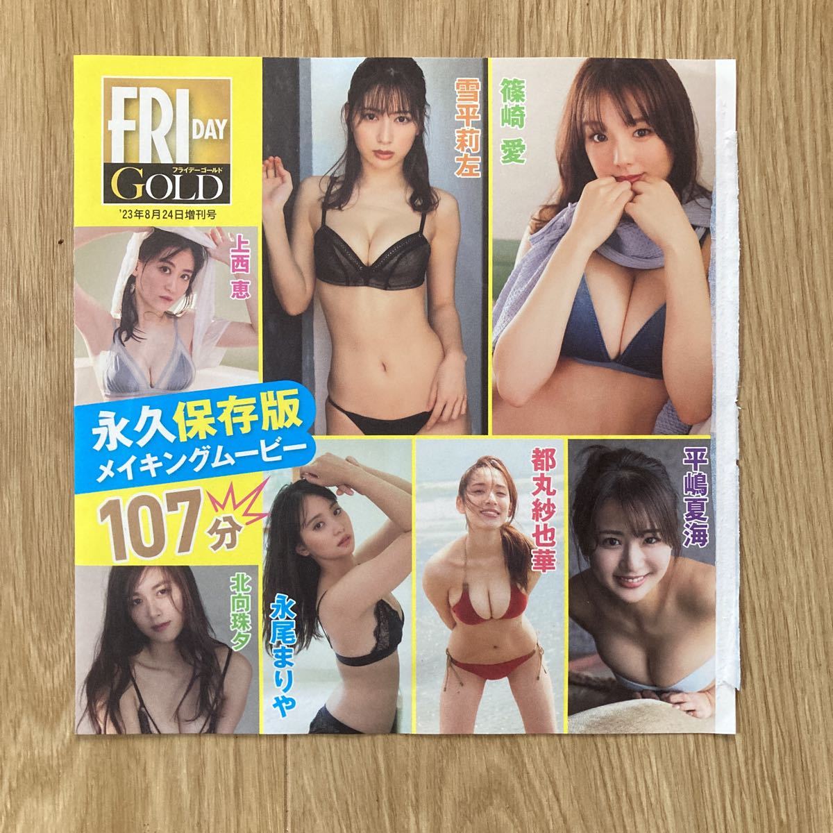 【未使用】FRIDAY GOLD誌 付録DVD1枚(107分、未開封) 篠崎愛、雪平莉左、北向珠夕、豊田ルナ、天野きき、南みゆか、永尾まりやなど。の落札情報詳細 - ヤフオク落札価格検索 オークフリー