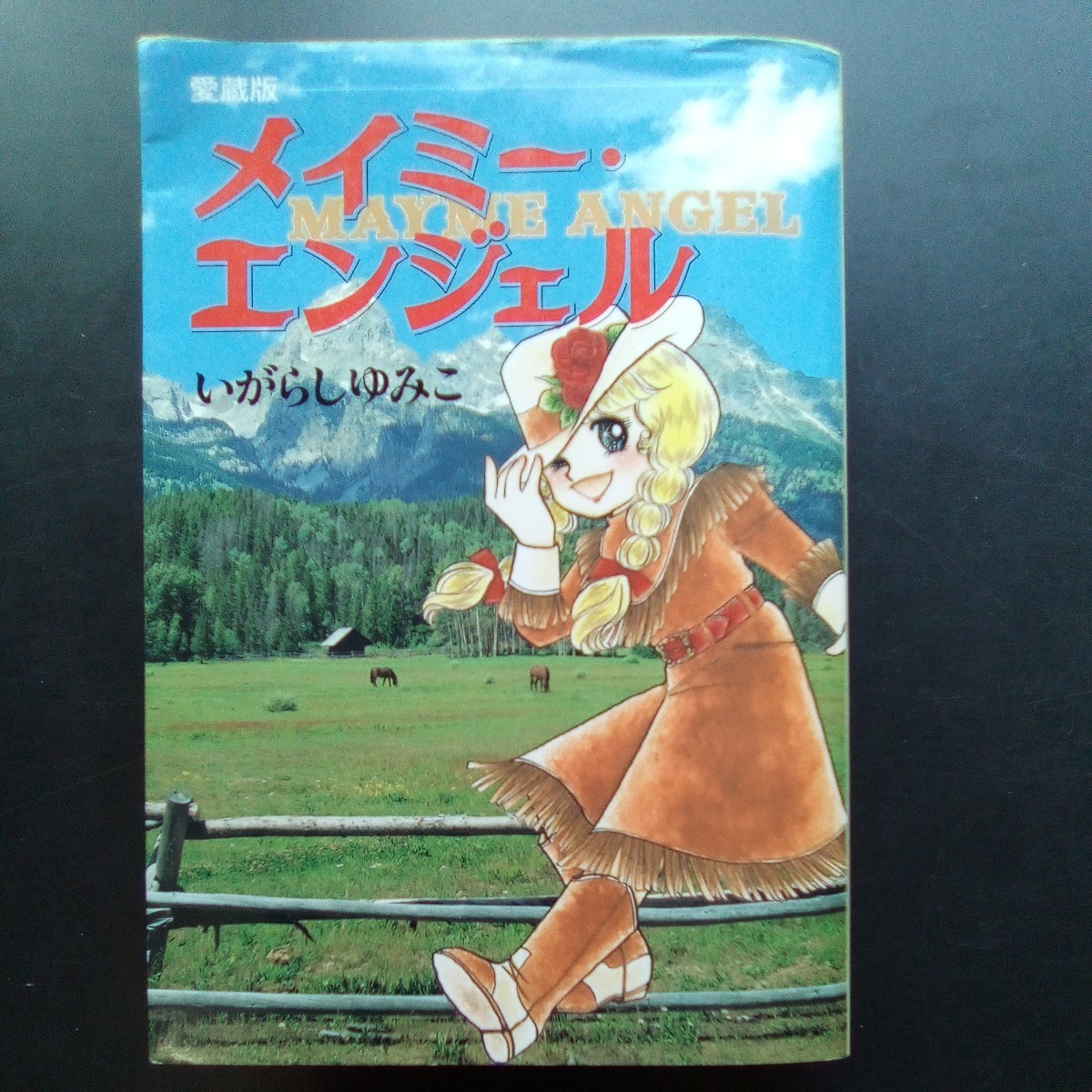 【傷や汚れあり】愛蔵版 メイミー・エンジェル いがらしゆみこ 1989年初版 中央公論社【091】の落札情報詳細 ヤフオク落札価格検索