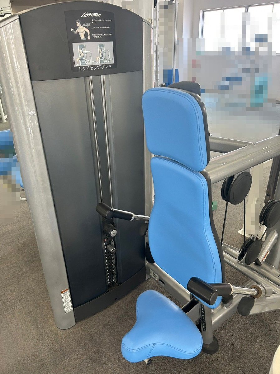 【やや傷や汚れあり】【引取限定】S2299 LifeFitness ライフフィットネス トライセップ・プレス 上腕三頭筋・三角筋前部・大胸筋 一部解体済 筋トレ 天の落札情報詳細 ...