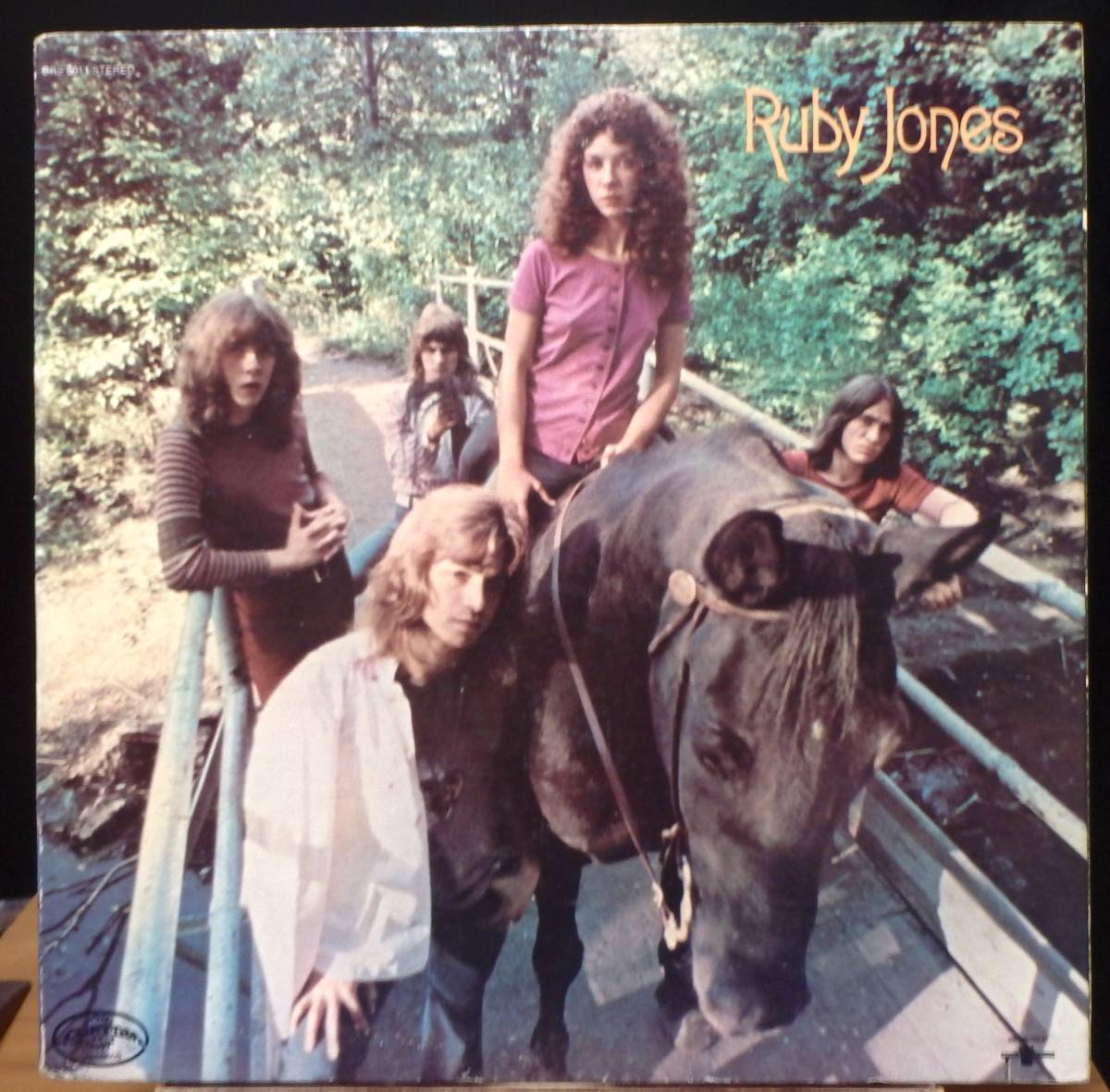 【やや傷や汚れあり】【HW012】RUBY JONES 「Ruby Jones」, 71 US Original ★女性ロック・ボーカル/ブルース・ロック/サイケデリック・ロックの落札情報詳細 ...