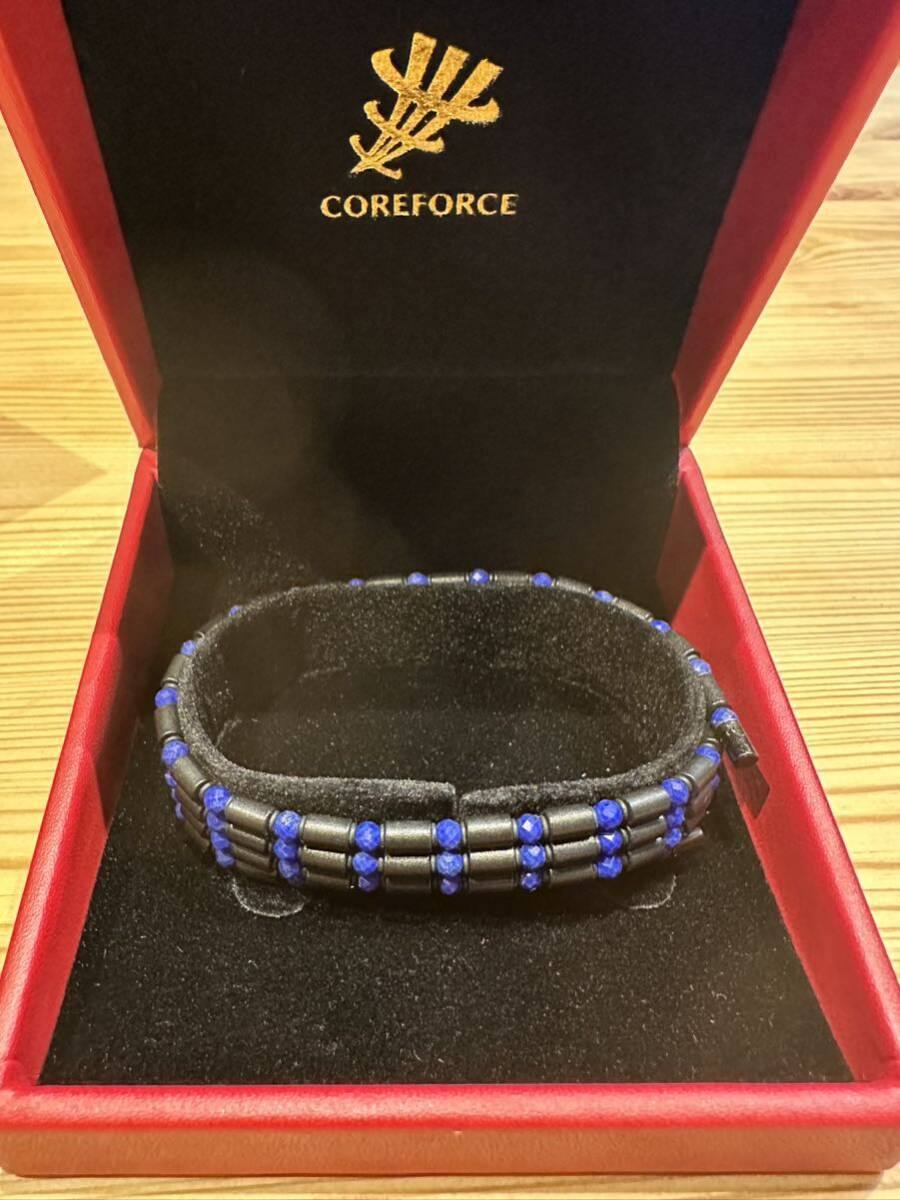 【目立った傷や汚れなし】良品 中古 コアフォースループ ラピスラズリCFL70 COREFORCE LOOP 70㎝の落札情報詳細 - ヤフオク落札価格検索 オークフリー