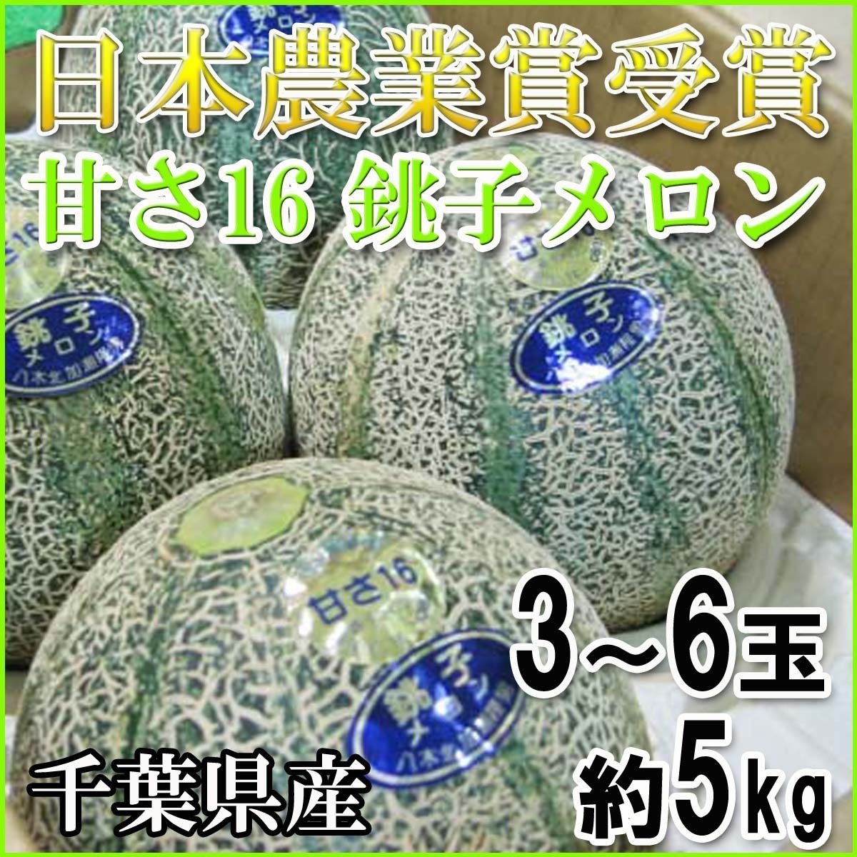 【未使用】【Good】日本農業賞受賞！甘さ16 銚子メロン 3～6玉 約5kg ご予約の落札情報詳細 - ヤフオク落札価格検索 オークフリー