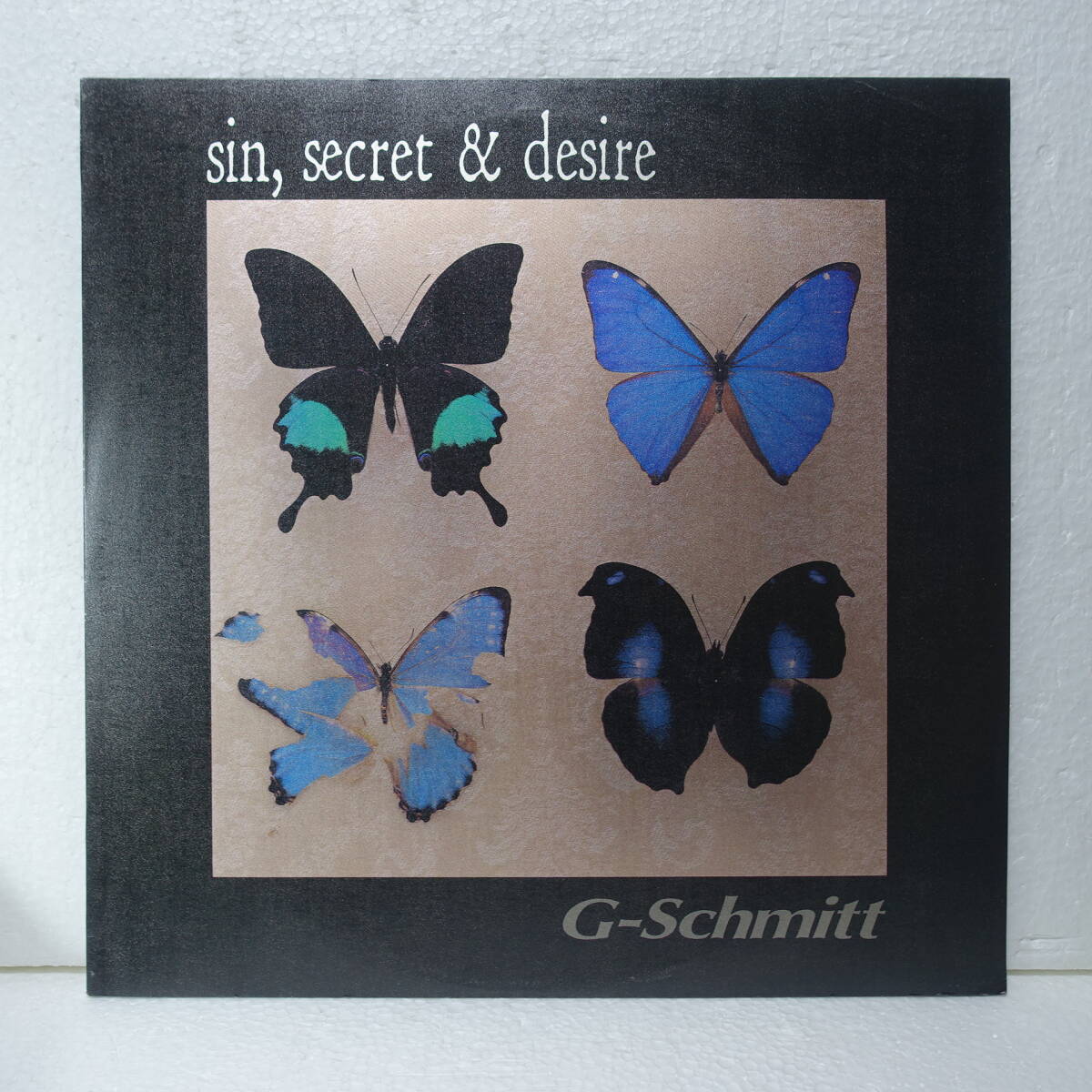【目立った傷や汚れなし】G-Schmitt / Sin, Secret & Desire / Wechselbalg Syndicate ...