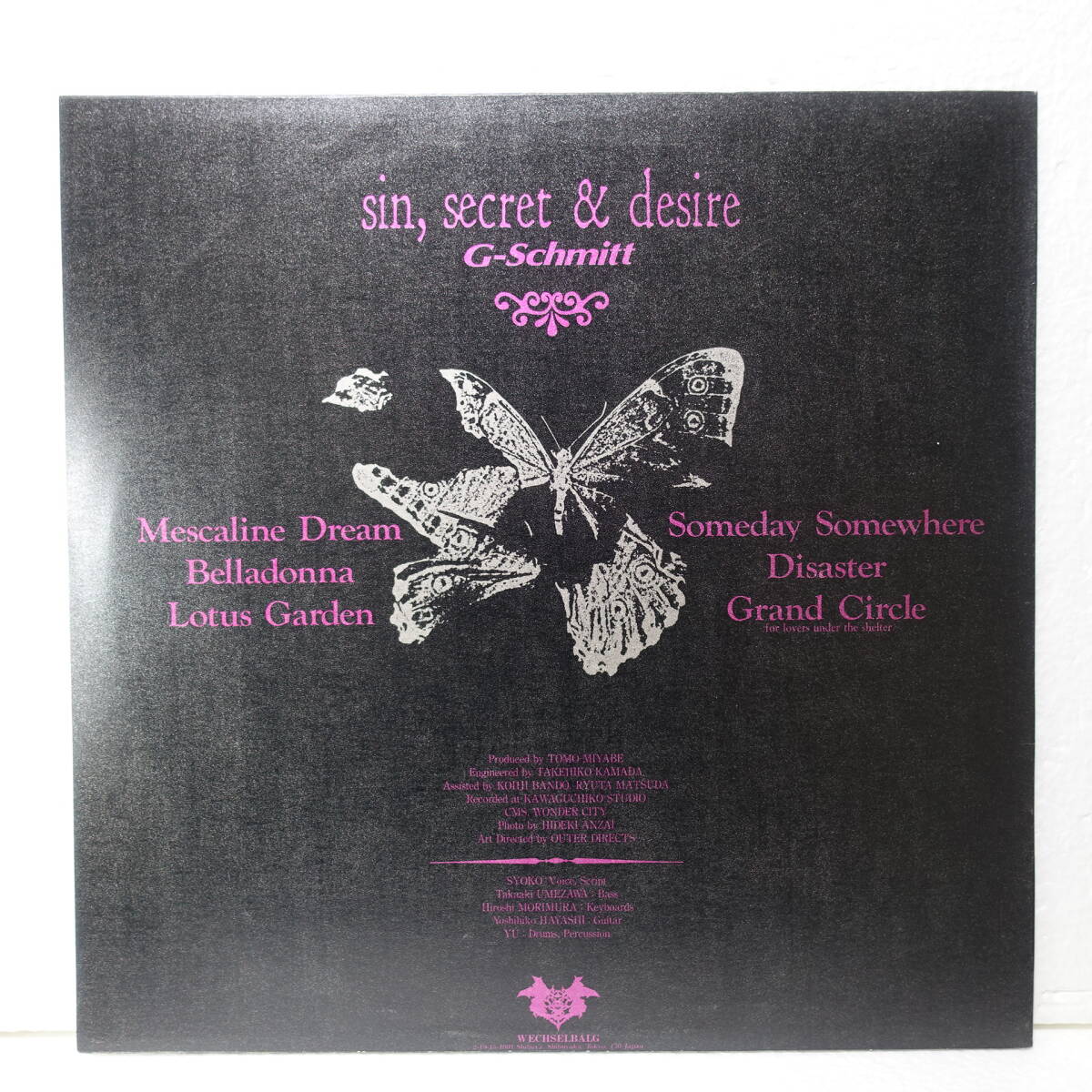 【目立った傷や汚れなし】G-Schmitt / Sin, Secret & Desire / Wechselbalg Syndicate ...