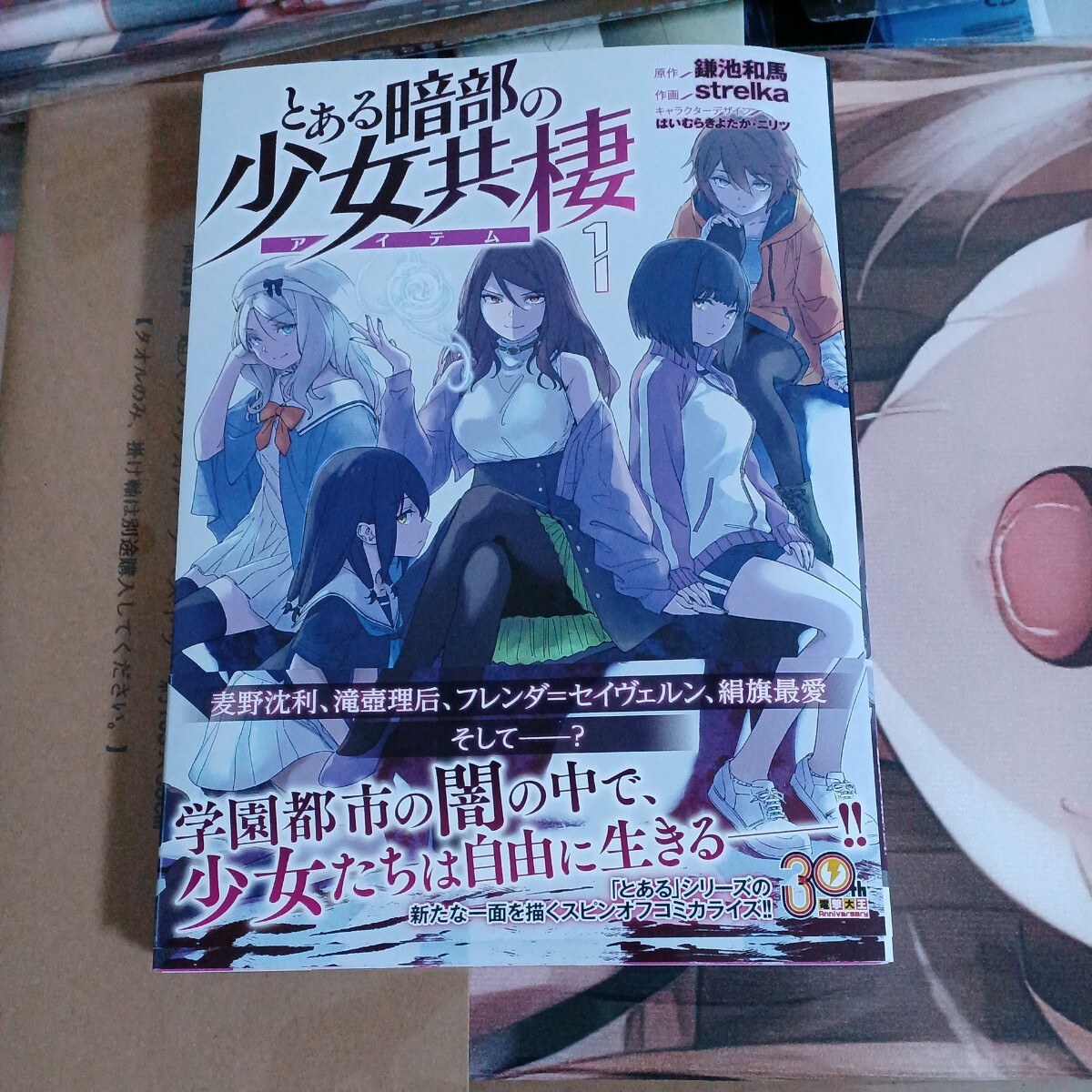 【未使用に近い】とある暗部の少女共棲 1 （電撃コミックスNEXT N588－01） 鎌池和馬／原作 strelka／作画 はいむらきよたかの落札情報詳細 - ヤフオク落札価格検索 オークフリー