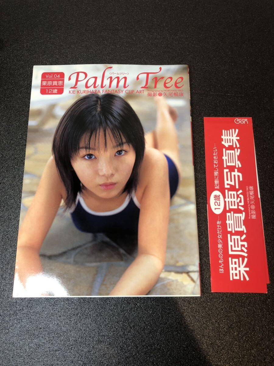 写真集『Palm Tree Vol.05 沢木 華』アートハウス・ゴン の落札情報詳細 - Yahoo!オークション落札価格検索 オークフリー
