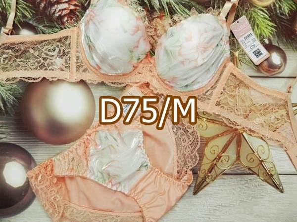 【未使用】D75025-P D75/M ブラ・ショーツセット ランジェリー インナー 下着 脇高ブラジャー ハーフレースショーツの落札情報詳細 - Yahoo!オークション落札価格検索 オークフリー