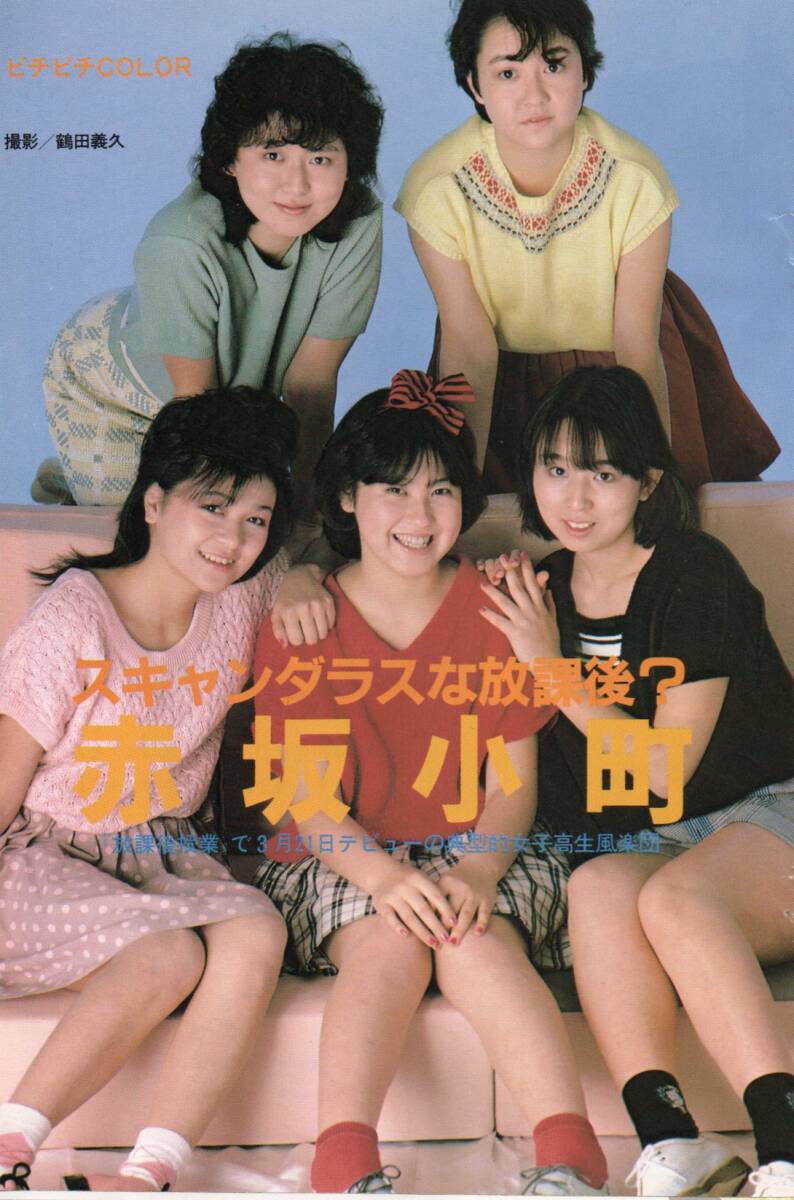 【全体的に状態が悪い】1984年昭和59年 赤坂小町 切抜 3頁 プリプリ前 昭和アイドル 昭和レトロの落札情報詳細 Yahoo
