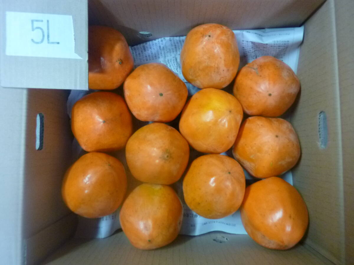 【未使用】★出品最終 干し柿用 江戸柿 奈良県西吉野産 10kg 5Lサイズ24個入★の落札情報詳細 - Yahoo!オークション落札価格検索 オークフリー