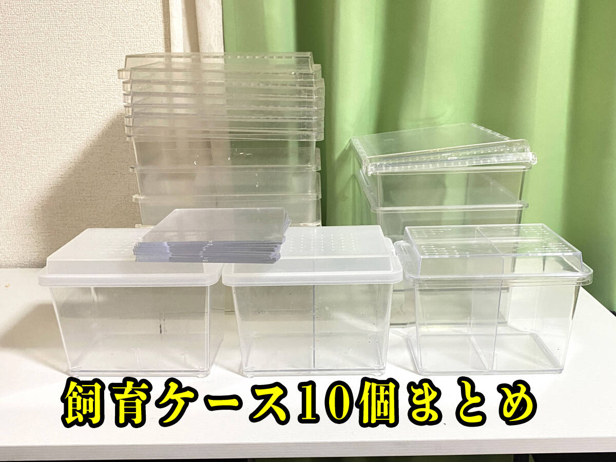 【やや傷や汚れあり】デジケース HR-1 飼育ケース ヘラクレス カブトムシ 昆虫 ヘラクレス 幼虫 クリアスライダーの落札情報詳細 - Yahoo!オークション落札価格検索 オークフリー