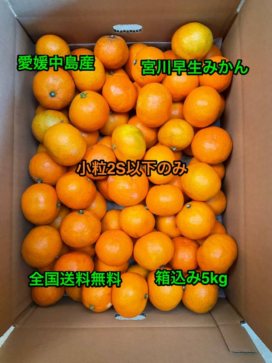 【傷や汚れあり】59 全国送料無料 宮川早生みかん 小玉 小粒 箱込5kg 2S以下サイズ混合 愛媛中島産の落札情報詳細 - Yahoo!オークション落札価格検索 オークフリー