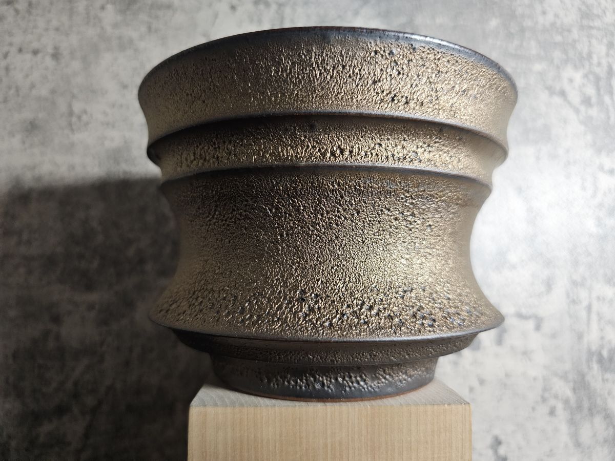 【未使用】Mサイズ 手作植木鉢 検索（invisible ink raw life factory カタチ製作所 中川智治 亀甲竜 グラキリス オペルクリカリア パキプス アガベの落札情報詳細 ...