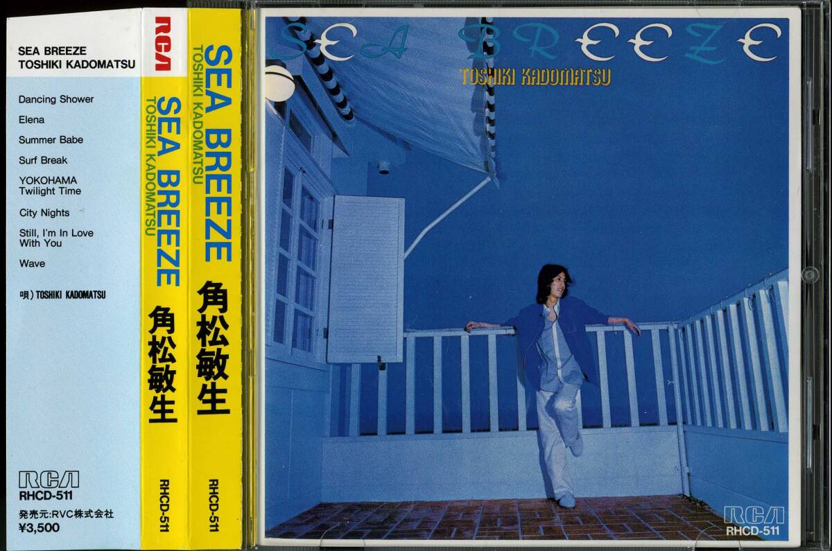 【やや傷や汚れあり】角松敏生★SEA BREEZEの落札情報詳細 - Yahoo!オークション落札価格検索 オークフリー