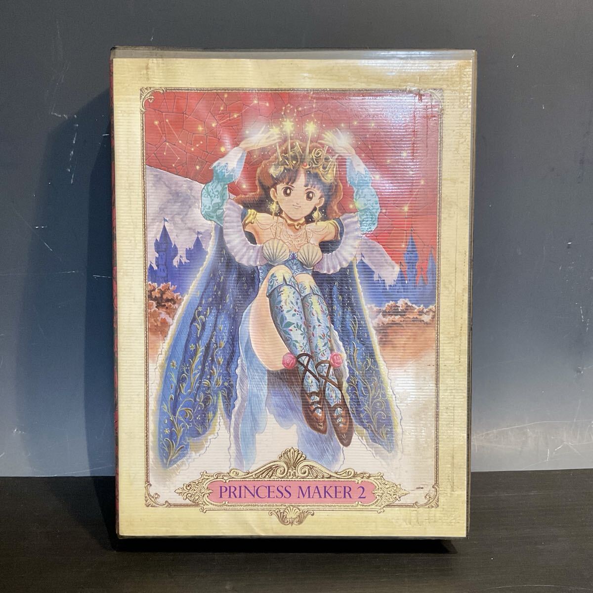 【やや傷や汚れあり】91001 PC−9800 PRINCESS MAKER 2 プリンセスメーカー2 5インチ FD12枚 ケース・取説付 ...
