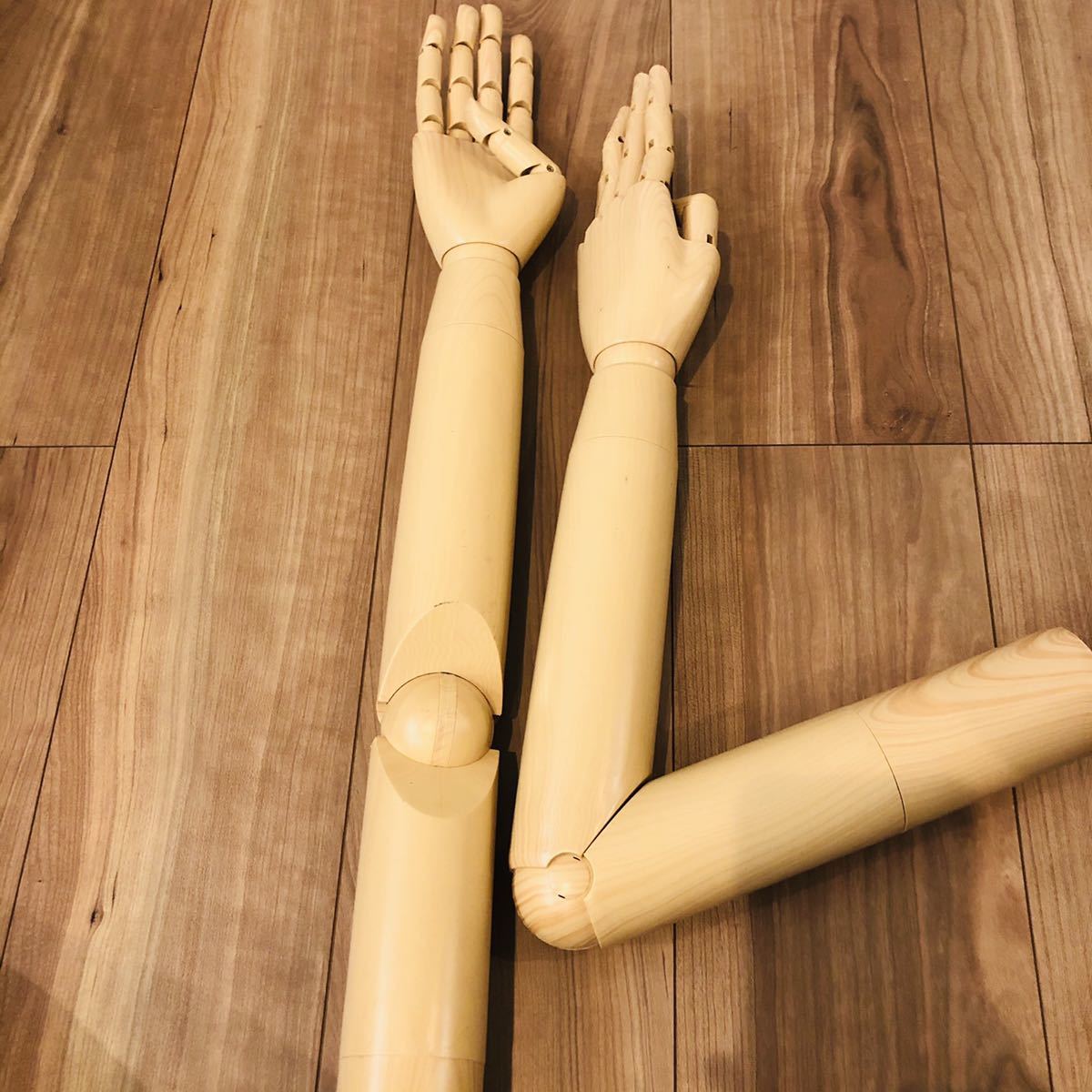 腕 トルソー デッサン ハンド モデル 手 ポーズ 模型 素描 マネキン トルソー イ ×2の落札情報詳細 - Yahoo!オークション落札価格検索 オークフリー