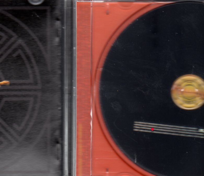 JOURNEY OF FORESIGHT SHAKKAZOMBIE シャカゾンビ osumi phenomenon swagger hide ...