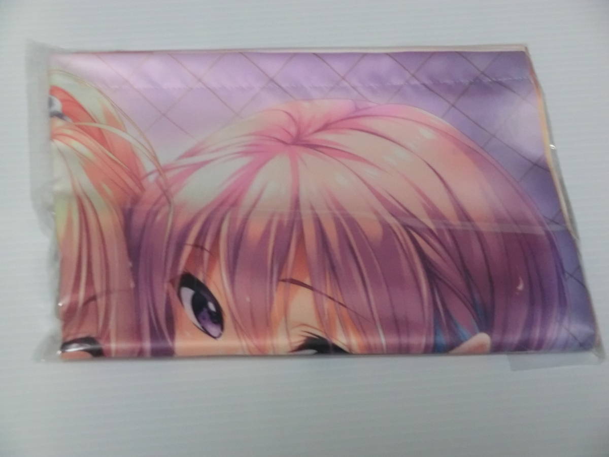 【未使用】アネトモ げっちゅ屋特典 タペストリー / アトリエかぐや BARE＆BUNNY choco-chipの落札情報詳細 - ヤフオク落札価格情報 オークフリー