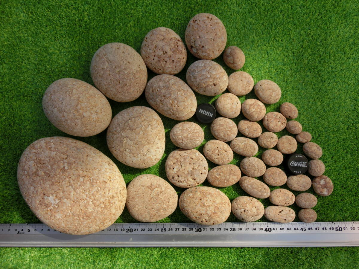 【未使用】姫川薬石 5,180g 虎石 自然放射線 トロン トロン温泉 遠赤外線 糸魚川 温泉 原石 免疫力 自然治癒力 TR－3の落札情報詳細 - ヤフオク落札価格検索 オークフリー