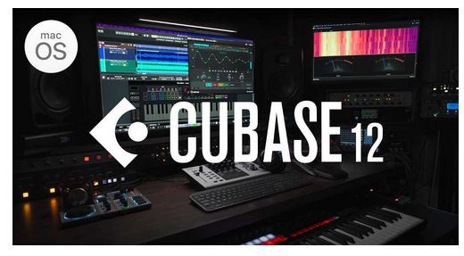 【未使用に近い】Steinberg Cubase 12 PRO v12.0.40 for Mac 永久版 ダウンロード の落札情報詳細 ...