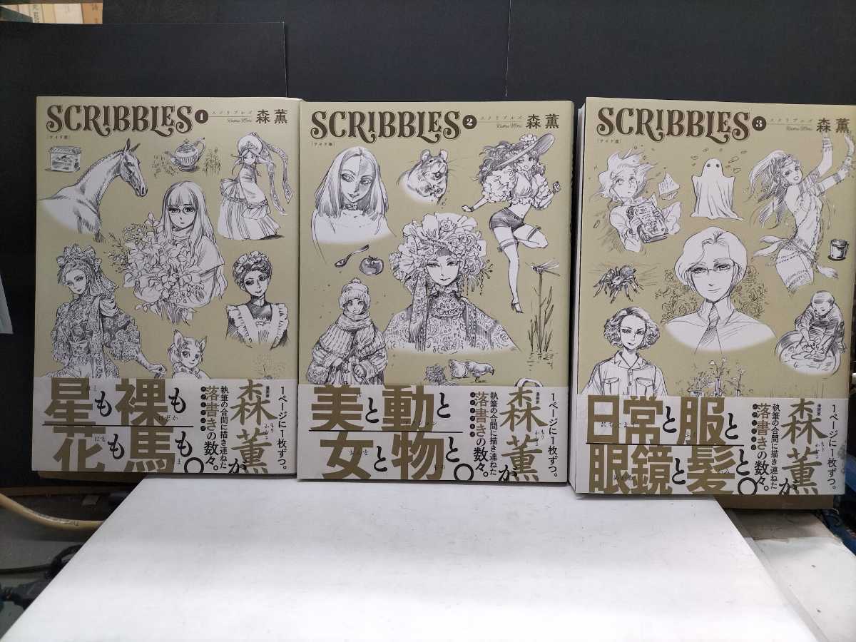 【目立った傷や汚れなし】【希少】 ALICESOFT 織音 ラフイラスト本 究極版 シリアルナンバー 解説小冊子 クリアファイル付き / ORION SCRIBBLES with ...