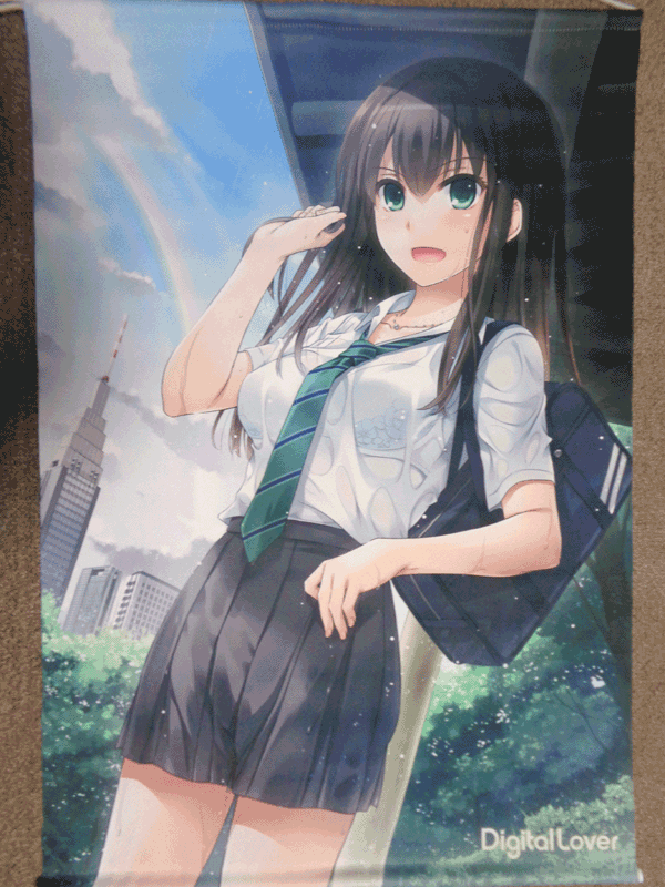 【目立った傷や汚れなし】(TA320) Digital Lover なかじまゆか アイドルマスター 渋谷凛 同人 B2 タペストリーの落札情報詳細 - ヤフオク落札価格検索 オークフリー