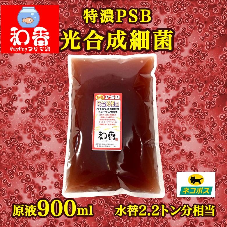 【未使用】PSB光合成細菌900ml★市販品の4倍濃度★バクテリアめだからんちゅう金魚熱帯魚ミジンコゾウリムシクロレラに最適72の落札情報詳細 - ヤフオク落札価格検索 オークフリー