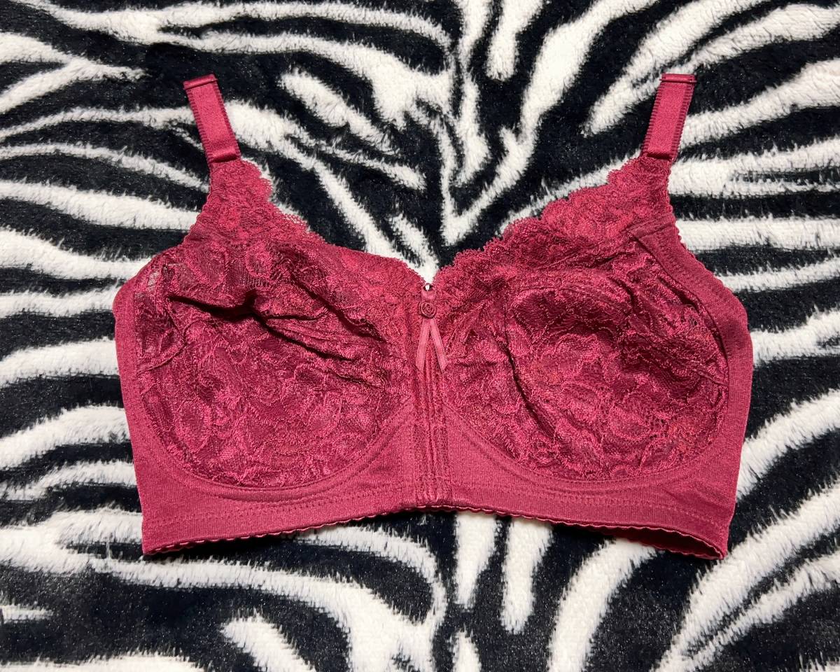 【未使用】シャルレ★ ドゥバンナ ブラジャー★ E95 ワイン★ 限定カラー★ FA183 新品★ 高級下着★ 激安★の落札情報詳細 - ヤフオク落札価格検索 オークフリー