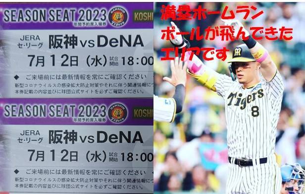 【未使用】①7/12(水) 7月12日 阪神タイガースvs横浜DeNAベイスターズ 甲子園 チケット ライト下段 2連番セット 中止全額補償有の落札情報詳細 - ヤフオク落札価格検索 オークフリー