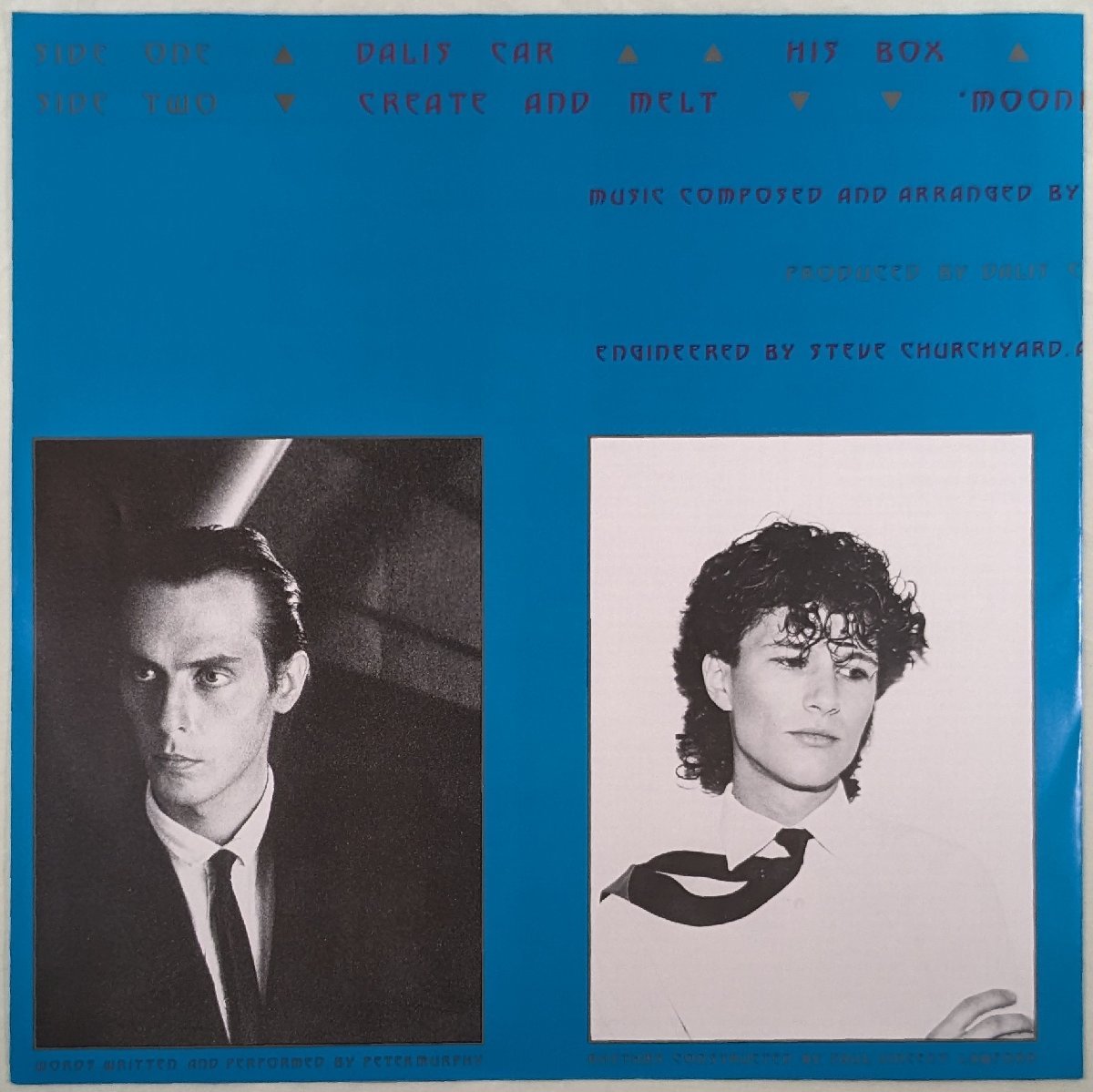 【目立った傷や汚れなし】中古LP「the waking hour / ウェイキング・アワー」Dalis Car / ダリズ・カーの落札情報詳細 ...